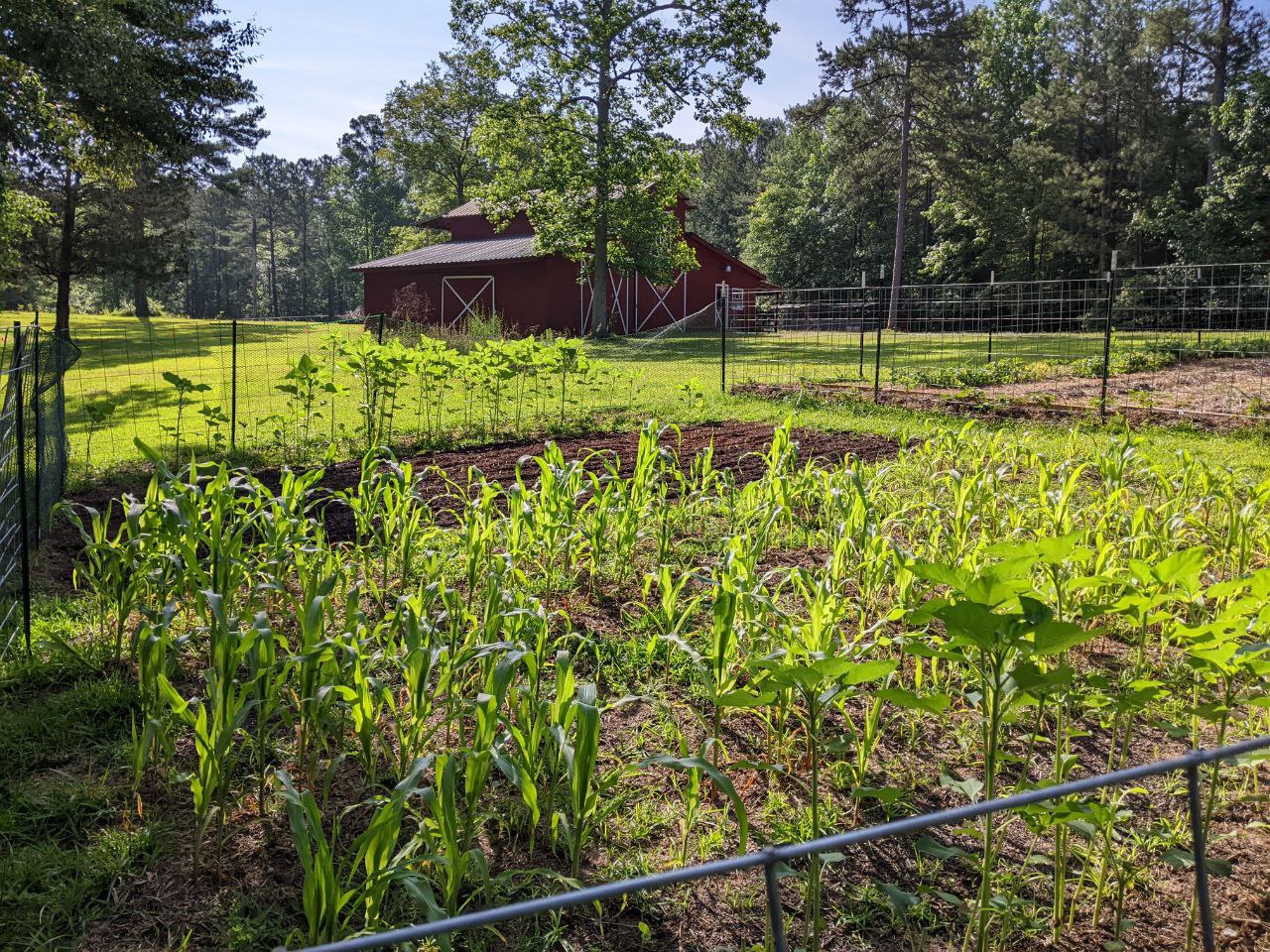 Born for the Barn – Your Guide to the Homestead or Small Farm